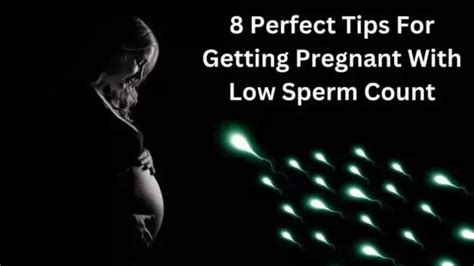 8 Perfect Tips For Getting Pregnant With Low Sperm Count Million