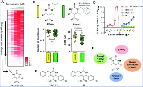 Structure−activity Relationships Sar Of Dhpm Thione Series A Heat