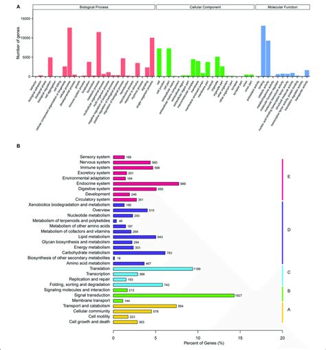 Functional Annotation Of A Chinensis Unigenes A Gene Ontology