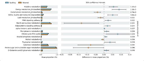 Predictive Functional Profiles Generated From 16s Rrna Marker Gene
