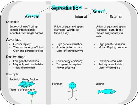 Internal Vs External Fertilisation Hsc Biology Edzion