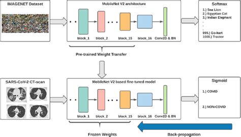 The Proposed Mobilenet V2 Based Fine Tuned Model The Figure Depicts