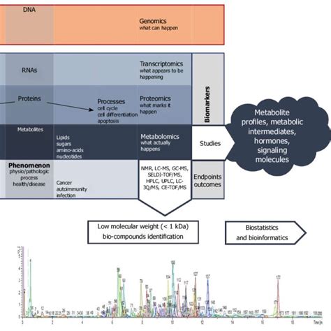 Integration Of Metabolites Into The Omics Pathway And Basic