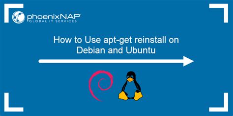 linux apt get reinstall posetke