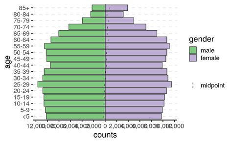 plot a population pyramid age sex from a dataframe — age pyramid