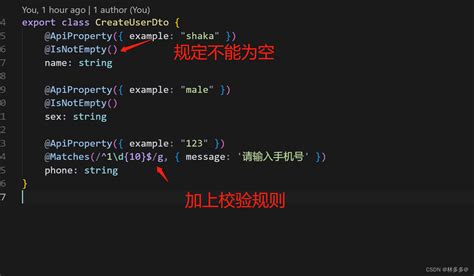 Nestjs入门及实战（三）接口数据校验 Eglobalpipes Update User Dto中的必填项没有校验 Csdn博客