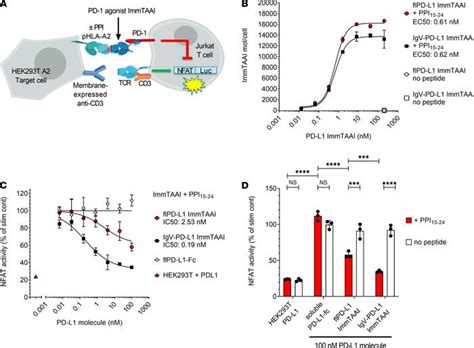 Jci Insight Cell Targeted Pd 1 Agonists That Mimic Pd L1 Are Potent T