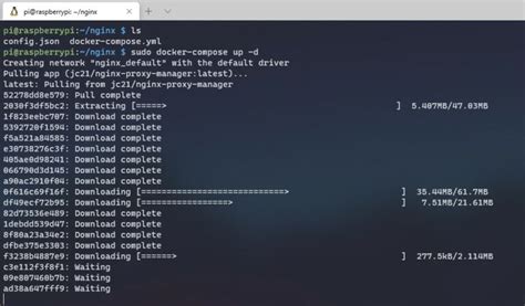 nginx proxy manager raspberry pi install instructions wundertech