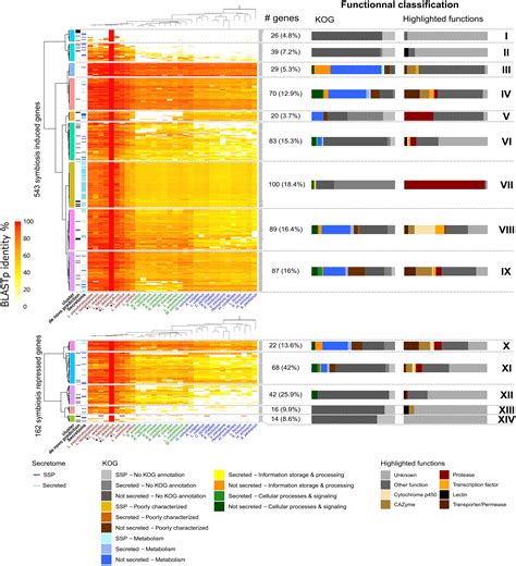 Frontiers Transcriptome Profiling Reveals Differential Gene