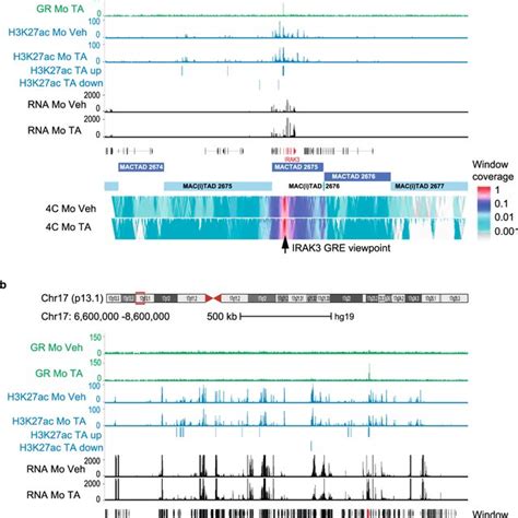 Circularised Chromosome Conformation Capture Using Gre Viewpoints A