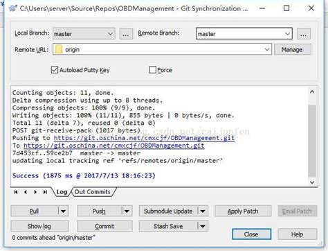 tortoisegit使用教程 修改提交简易图文教程 tortoisegit修改commit信息 csdn博客