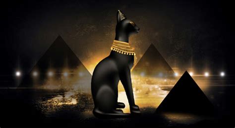 Cat Goddess Naked Thepeopleimage The Best Porn Website