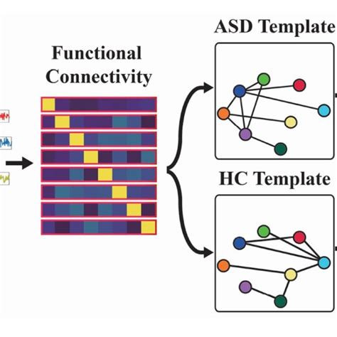 Functional Graph Construction 1 Estimate Functional Connectivity