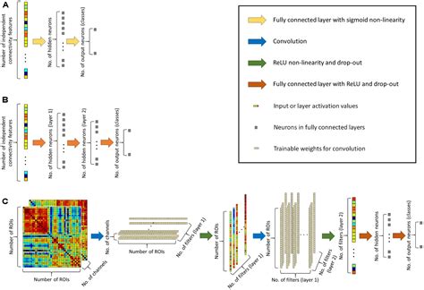 frontiers resting state fmri functional connectivity based