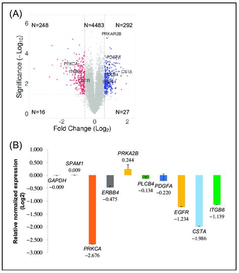 Transcriptomic Analysis A Volcano Plot Displaying The Expression Of