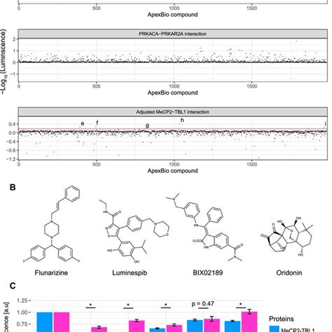 Nanoluc Based Protein Complementation Assay For Mecp2 Tbl1 Binding A