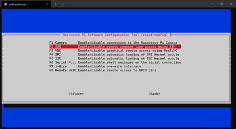 monitor raspberry pi os with new relic datacrunch