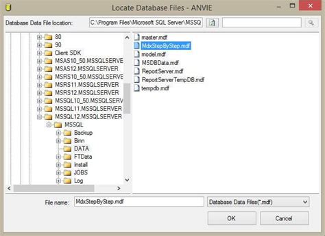 problem attaching the mdxstepbystep database in sql server
