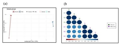 Transcriptomic Data Visualization A Principal Component Analysis