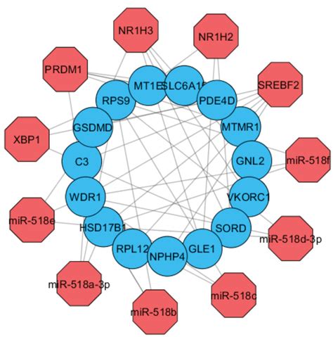 Interaction Networks Of Gene With Regulatory Biomolecules Download