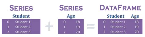python pandas overview of series and dataframes coding