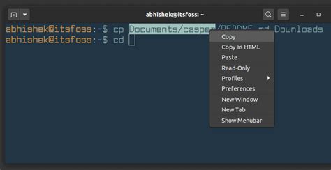 How To Copy Paste In Linux Terminal [for Absolute Beginners]