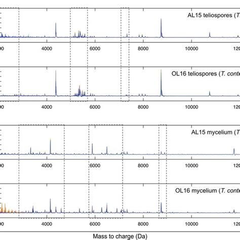 Stacked View Of Maldi Tof Ms Spectra Visualizing The Comparison Of