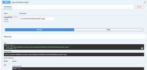 java why swaggerui show validation error after uploading image