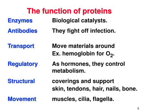 Ppt Proteins Powerpoint Presentation Free Download Id 1024303