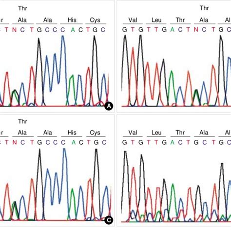 The Results Of Nucleotide Sequencing Analysis From Three Patients With