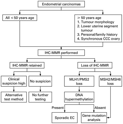 Lynch Syndrome Hereditary Non Polyposis Colorectal Cancer And
