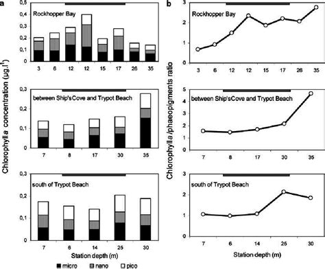 Spatial Distribution Of Surface Size Fractionated Chlorophyll A