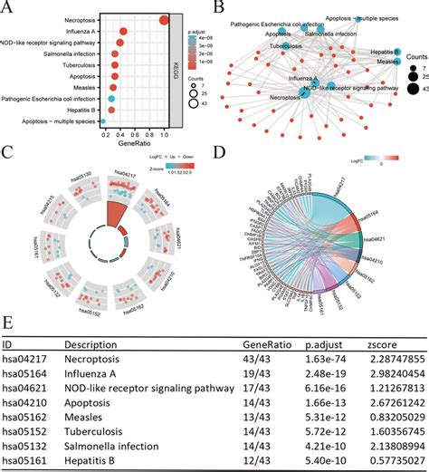 Kegg Analysis Of Differentially Expressed Nrgs In Cesc A The
