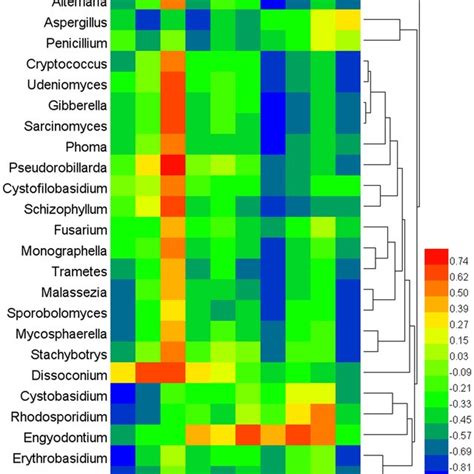 Heat Map And Hierarchical Clustering Tree Of Spearman Correlation