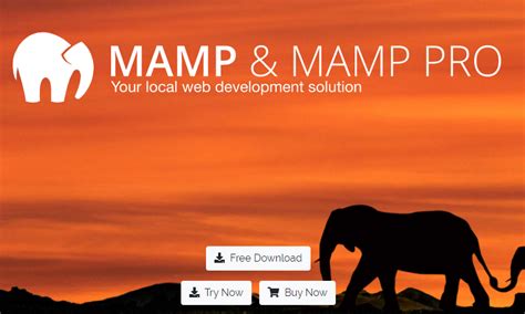 7 best open source php servers for web development