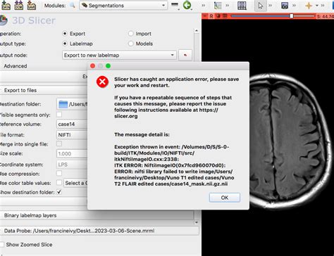error exporting nifti fails to write image · issue 6858 · slicer