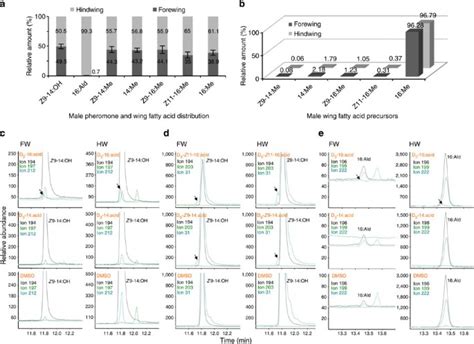 sex pheromone biosynthetic pathways are conserved between moths and the