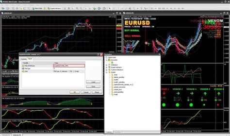 code expert advisors for mt4 mt5 platforms by vestor forex fiverr