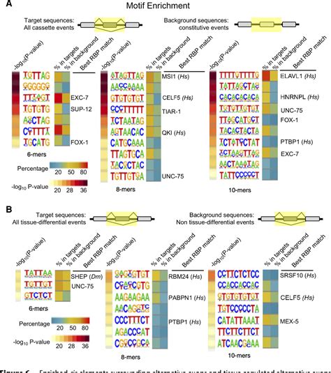 Figure 1 From Global Regulatory Features Of Alternative Splicing Across