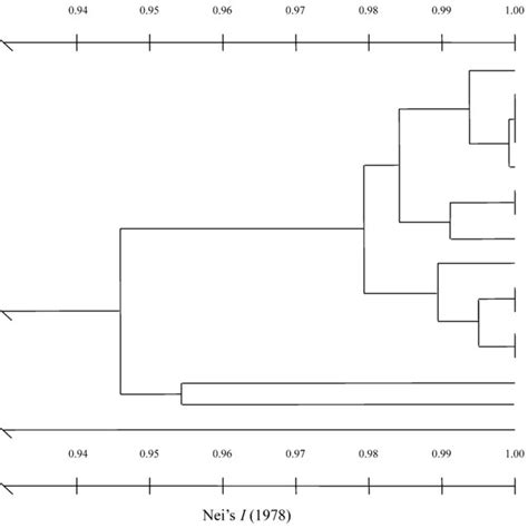 Coscinasterias Muricata Phenetic Dendrogram Upgma Cluster Based On