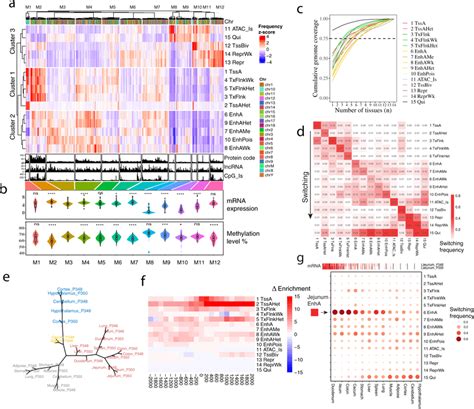 Genome Wide Chromatin State Dynamics Across Tissues A Clustering Of