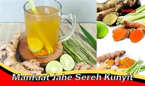 Temukan Manfaat Jahe Sereh Kunyit Yang Jarang Diketahui Biotifor