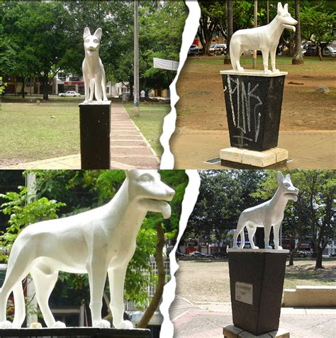 Parque Del Perro Cali Orgullo De Cali