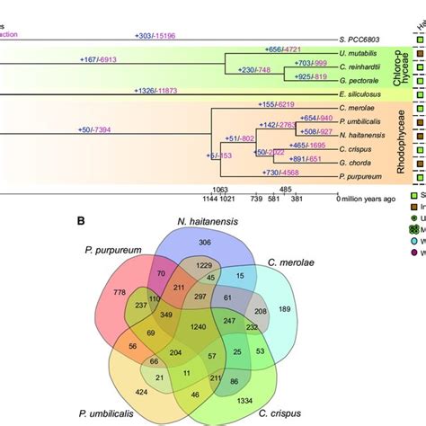 Comparative Genomics Analysis A Comparative Evolutionary Histories