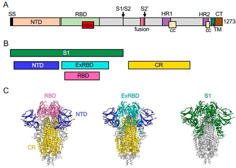 Vaccines Free Full Text Rotavirus As An Expression Platform Of
