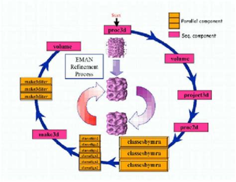 Eman Refinement Workflow Download Scientific Diagram