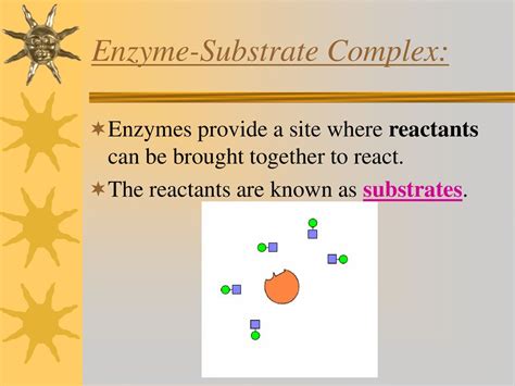 This Presentation Includes The Following Ppt Download
