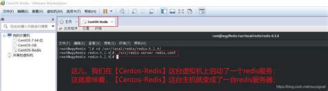 redis入门十一：java中使用redis一：redis配置【protected mode】和【bind】；jedis简介； redis