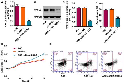 Effect Of Cxcl9 Knockdown On The Proliferation And Apoptosis Of