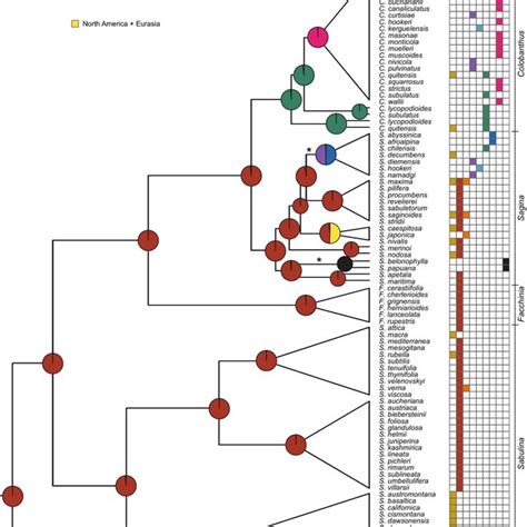 Biogeographic Reconstruction With Biogeobears Of The Cpdna Dataset